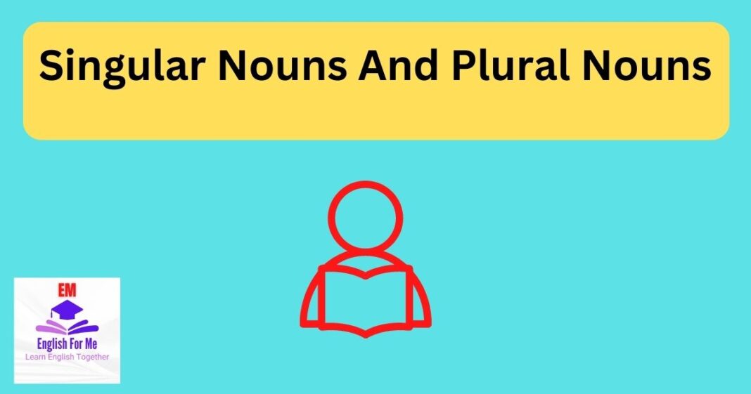 Plural Nouns : 7 Most Common Easy Rules For Plurals - English For Me 2024